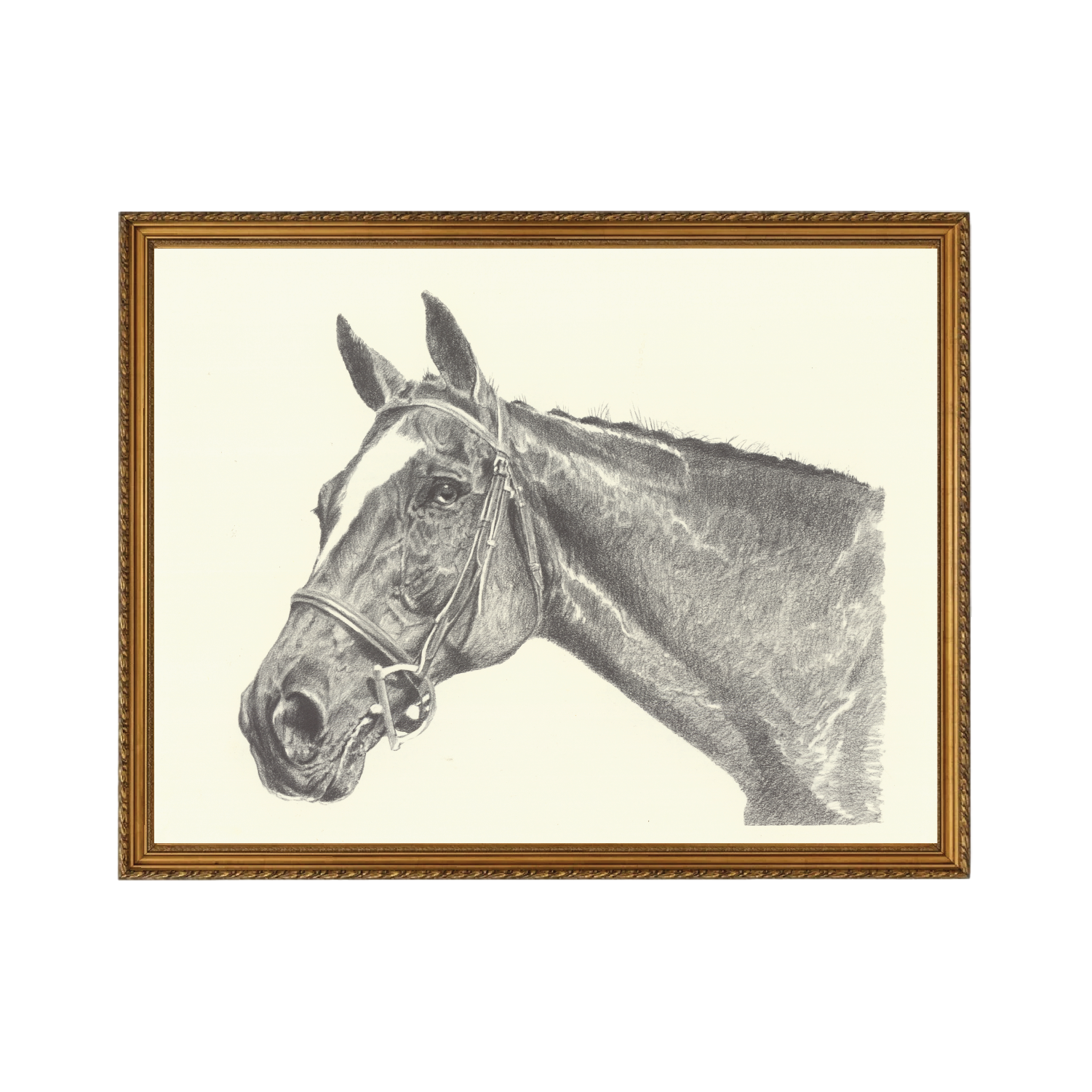 Halter Horse - Unframed Art Print – Acres Market & Interiors