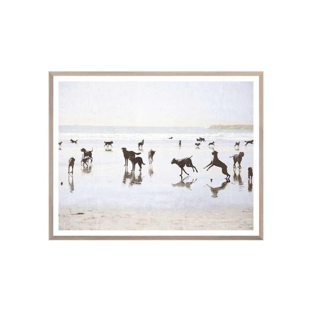Seaside Dogs Framed Artwork – Acres Market & Interiors